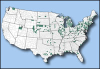Cecropia Moth - Hyalophora cecropia | Wildlife Journal Junior